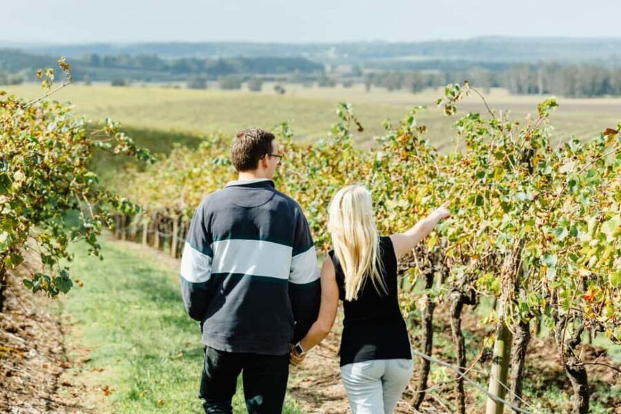 Private Hunter Valley Wine Tour Departing from Newcastle - Why This Tour Works for Different Travelers