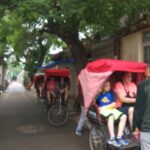 Private Hutong Culture Tour with Dumpling Cooking Class plus Cricket Fighting Game - Authentic Experiences That Truly Connect You to Beijing