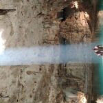 Private Instagram Cenotes Tour with Professional Photography - Authentic Experiences and Genuine Value