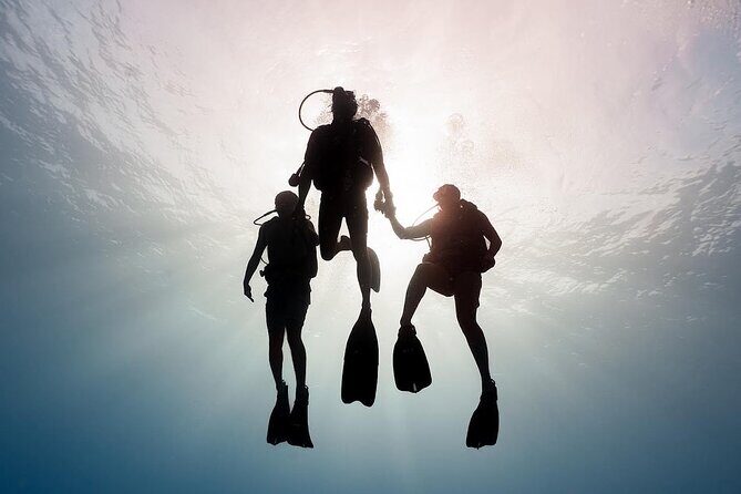 PRIVATE Introductory Discover Scuba Diving For Beginners - Pricing and Value