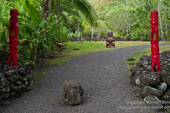 Private Island Tour ( 5 HOURS) - Value and Practical Considerations