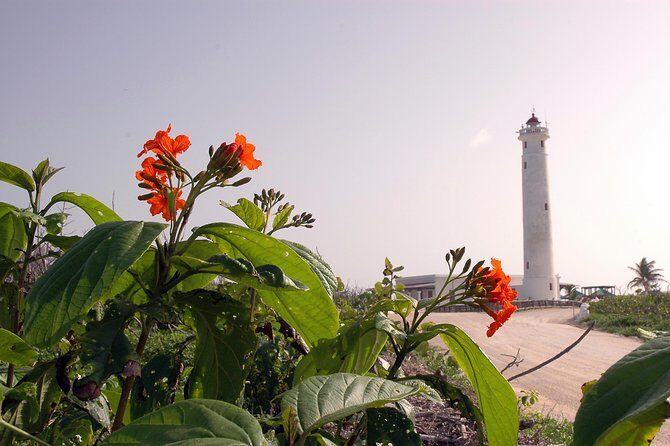 Private Island Tour at Your Leisure - Thorough Breakdown of the Itinerary