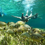 Private Jeep tour to Punta Sur park + snorkel + Lunch - Detailed Breakdown of the Itinerary