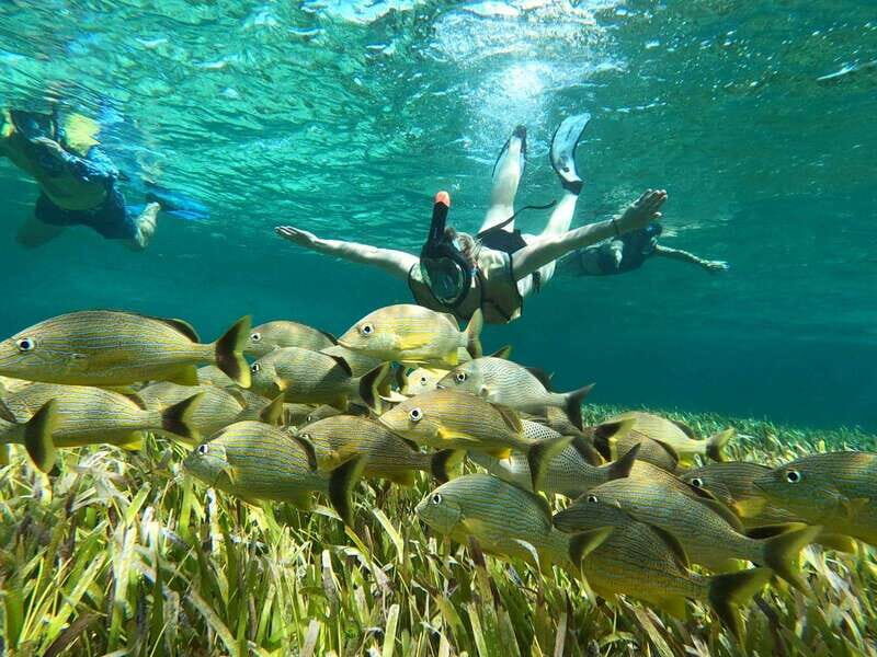 Private Jeep tour to Punta Sur park + snorkel + Lunch - Detailed Breakdown of the Itinerary