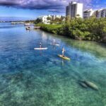 Private Jupiter Island Guided Paddle Boarding Tour - Who Will Love This Tour?