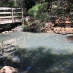 Private Kaitoke Hot Springs Soak and Walk Tour in Great Barrier - Exploring Great Barrier Island: A Natural Wonderland