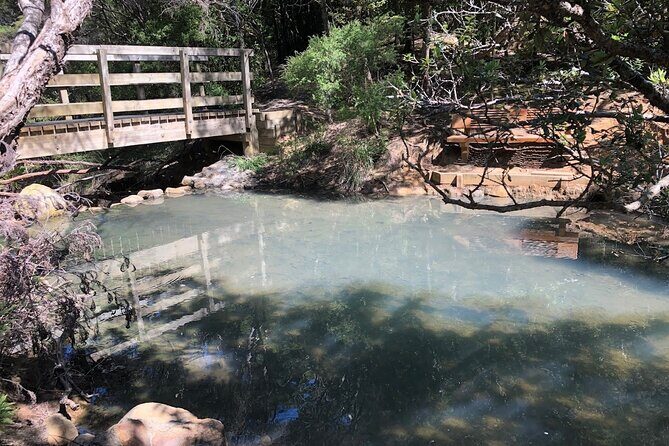 Private Kaitoke Hot Springs Soak and Walk Tour in Great Barrier - Exploring Great Barrier Island: A Natural Wonderland
