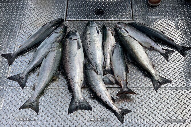 Private Ketchikan Wild Alaskan Salmon Fishing Trip - Understanding the Itinerary
