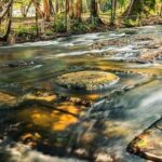 Private Kulen Mountain and Beng Mealea Temple Tour - Practical Aspects and Value