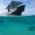 Private Lagoon Exploration and Snorkeling in Moorea - The Sum Up: Is This Tour Worth It?