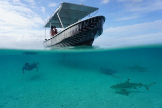 Private Lagoon Exploration and Snorkeling in Moorea - The Sum Up: Is This Tour Worth It?