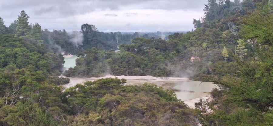 Private Luxury Auckland - Rotorua Geothermal Wonderlands - A Detailed Breakdown of the Itinerary