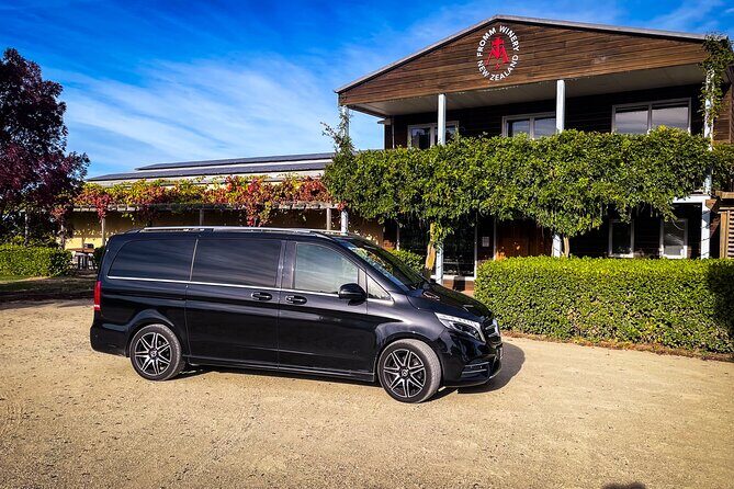 Private Luxury Return Transfers - Queenstown to Wanaka Vineyards - Who This Experience Is Best For