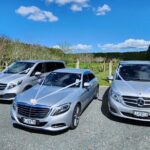 Private Luxury Sedan Transfer Auckland Airport To Auckland Hotel - What to Expect During the Transfer