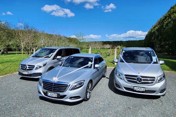 Private Luxury Sedan Transfer Auckland Airport To Auckland Hotel - What to Expect During the Transfer