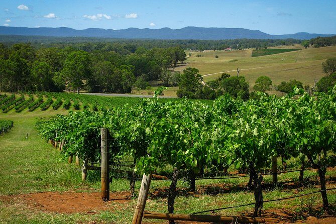 Private Luxury Tour: Tastes of the Hunter Valley - The Itinerary in Detail