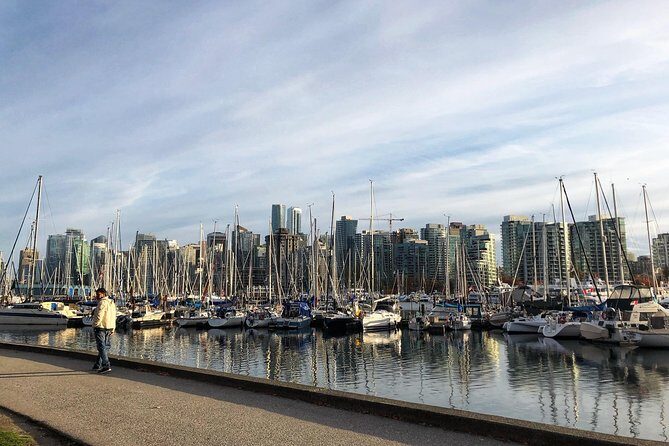 Private Luxury Vancouver Shore Excursion - The Transportation and Practicalities