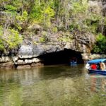Private Mangrove Tour 2 Hour (max 8 People) - Why Choose a Private Tour?