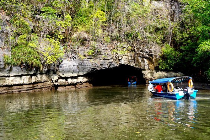 Private Mangrove Tour 2 Hour (max 8 People) - Why Choose a Private Tour?