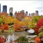 Private Manhattan and Brooklyn Full-Day Tour with Driver-Guide and Vehicle - Final Word