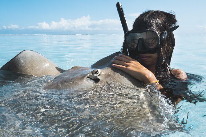 Private Marine Wildlife Adventure with Underwater Photography - Practical Details and Considerations
