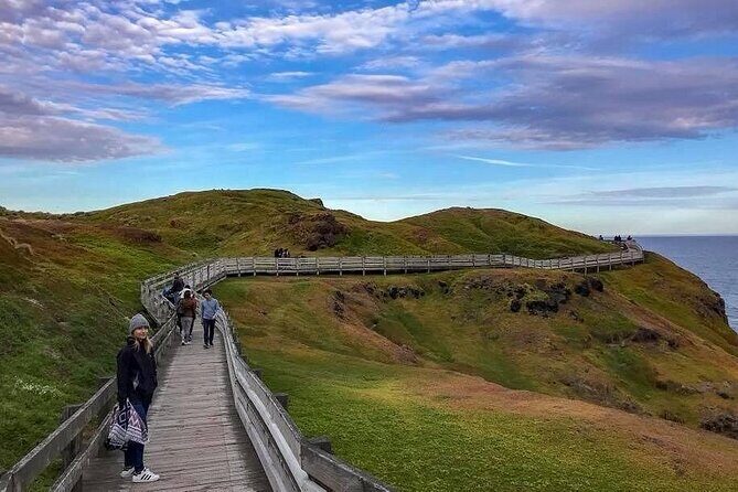 Private Melbourne Tour: Phillip Island and Chocolate Factory - The Penguin Parade & Ethical Considerations