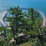 Private Minibus Tour in Busan for Cruise Guests 8-17 People - The Itinerary in Detail