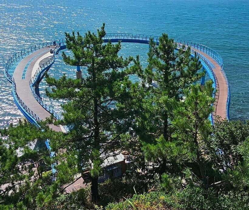 Private Minibus Tour in Busan for Cruise Guests 8-17 People - The Itinerary in Detail