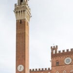 Private Minivan Tour to Siena and San Gimignano from Florence - Practical Details for Travelers