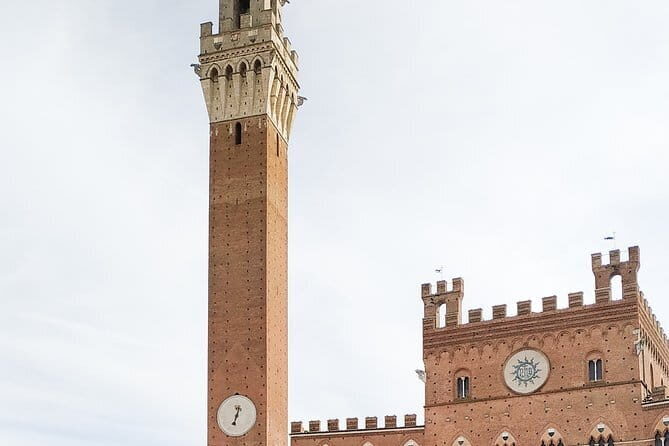 Private Minivan Tour to Siena and San Gimignano from Florence - Practical Details for Travelers