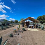 Private Mitla, Hierve el agua and Mezcal Tour with Lunch - What We Think