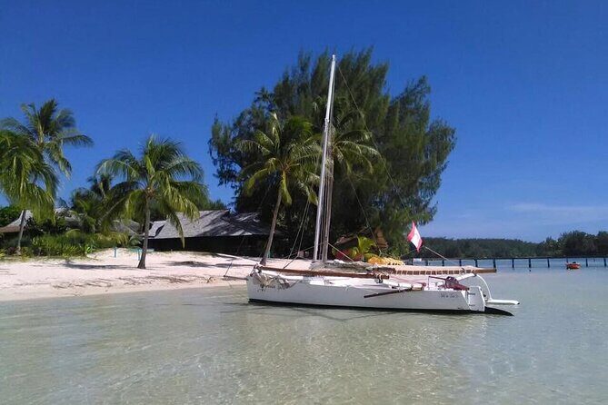 Private Moorea Discovery Half-day Sailing - The Value of the Experience
