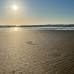 Private Morning Transfer From Noosa to Rainbow Beach - What Travelers Say
