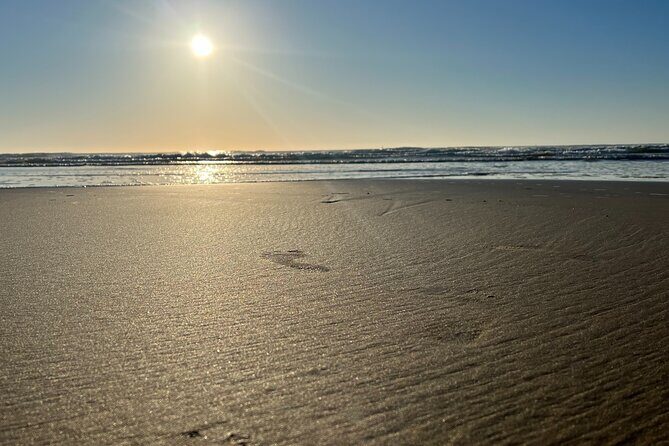 Private Morning Transfer From Noosa to Rainbow Beach - What Travelers Say