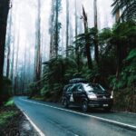 Private Mornington Peninsula Hike and Hot Springs Tour - Lunch at Merchant & Maker Café