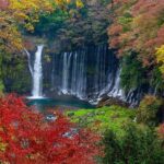 Private Mount Fuji and Hakone City Tour from Tokyo - What Past Travelers Say