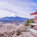 Private Mt. Fuji Custom Tour from Tokyo - Weighing the Cost: Is It Good Value?