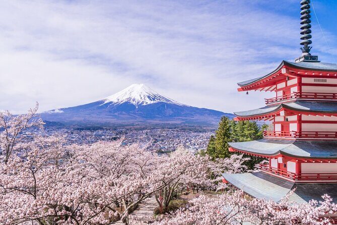Private Mt. Fuji Custom Tour from Tokyo - Weighing the Cost: Is It Good Value?