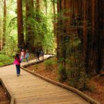 Private Muir Woods, Sausalito, and Marin Headlands Tour - Why This Tour Offers Great Value