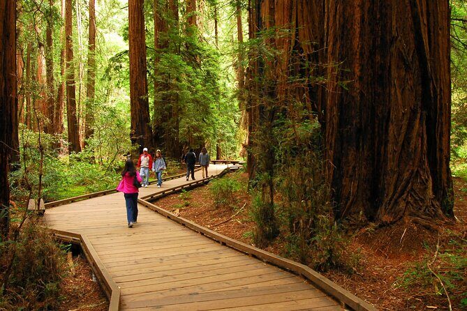Private Muir Woods, Sausalito, and Marin Headlands Tour - Why This Tour Offers Great Value