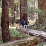 Private Muir Woods Tour Via Luxury Tesla - Deep Dive into the Itinerary