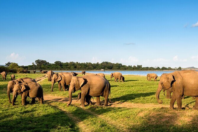 Private Multi-Day Outdoor Tour in Sri Lanka - Practical Details and Considerations