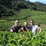 Private Munnar Tea Trek - Walking Through Nature’s Canvas