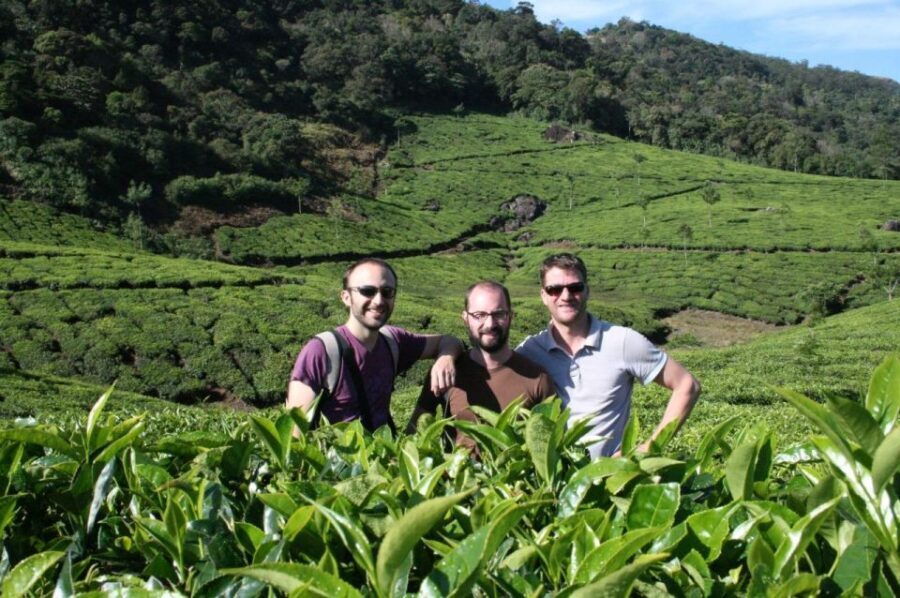 Private Munnar Tea Trek - Walking Through Nature’s Canvas