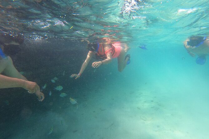 Private MUSA Snorkeling Experience at Isla Mujeres and Cancun - Final Thoughts: Who Will Love This Tour?