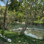 Private Nadi Temple Tour - An In-Depth Look at the Nadi Tour