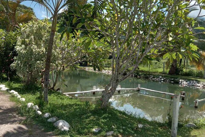 Private Nadi Temple Tour - An In-Depth Look at the Nadi Tour