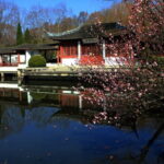 Private Nanjing Ancient capital city day tour with Lunch - What’s the Value?