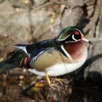 Private Nature Tour for Couples - Authentic Reviews and Real Experiences