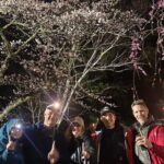 Private Night walk Tour at the foot of Mt. Fuji - Who Is This Tour Best For?